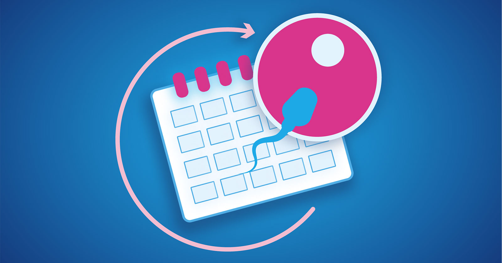 Ovulation Calculator : Estimate your most fertile days - Clearblue